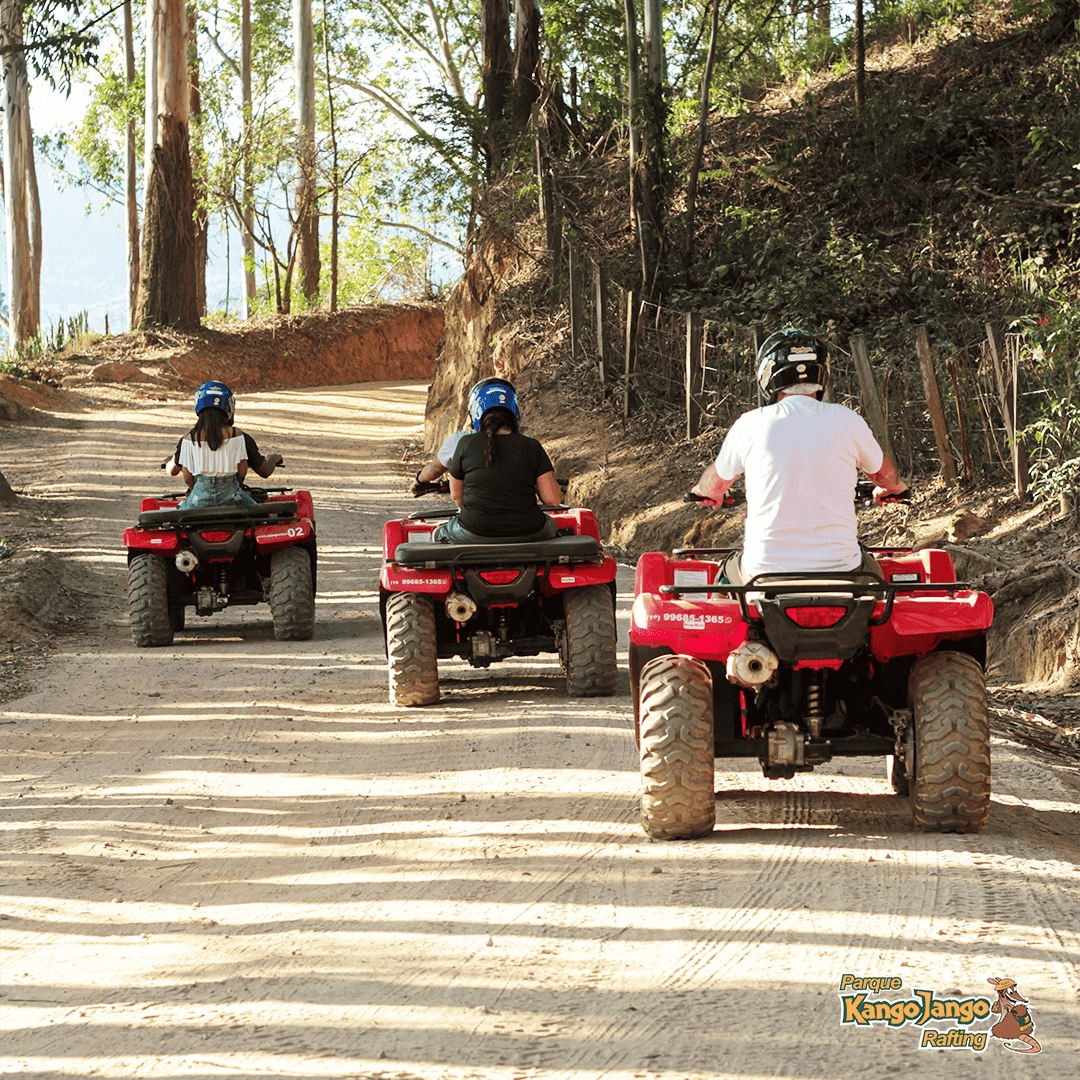 Pacote Visgueiro - Kango Jango